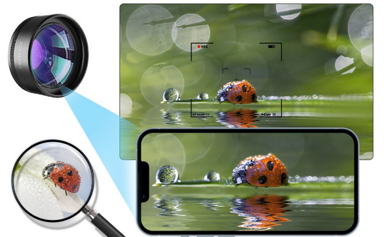 How to Use the HTML5 Canvas Element for Graphics