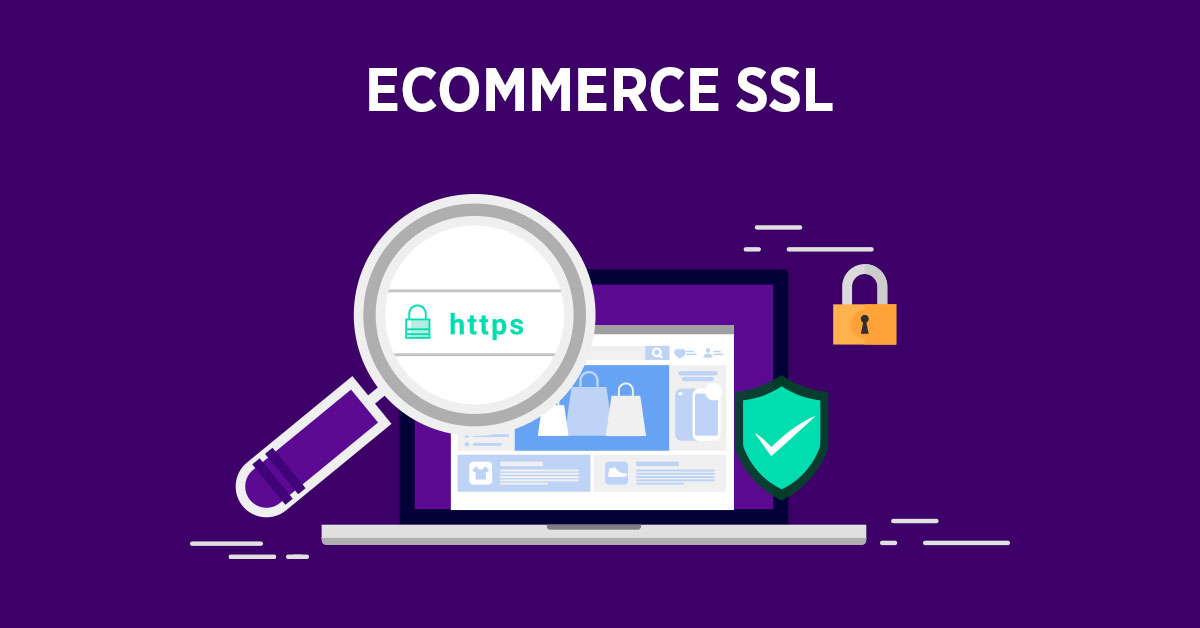 The Role of SSL/TLS Certificates in Web Security